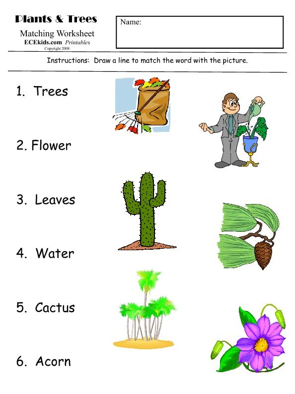 Camping Matching Worksheet ECEkids Camping Matching Worksheet ECEkids