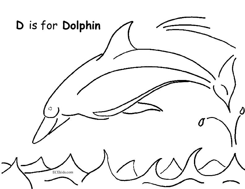 Dolphin - ECEkids