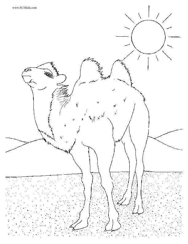 Animal Coloring Pages - ECEkids